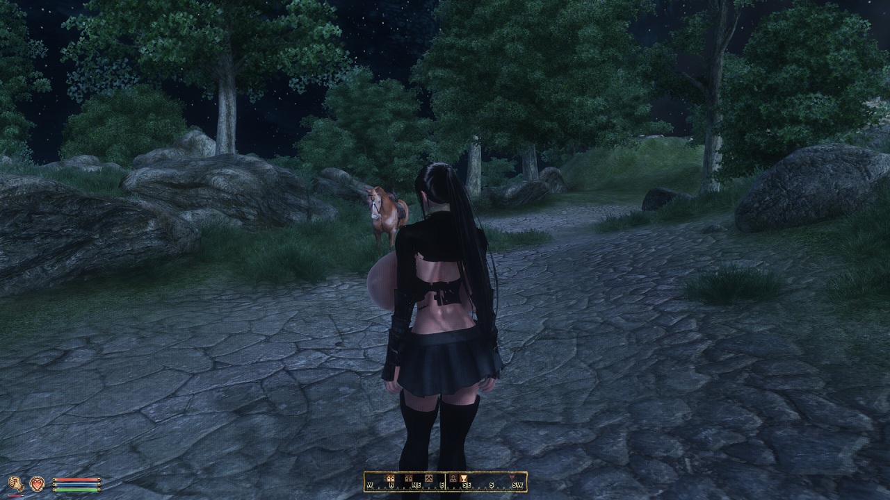 Need Help with HFOB and DMRA body - Oblivion Adult Mods - LoversLab