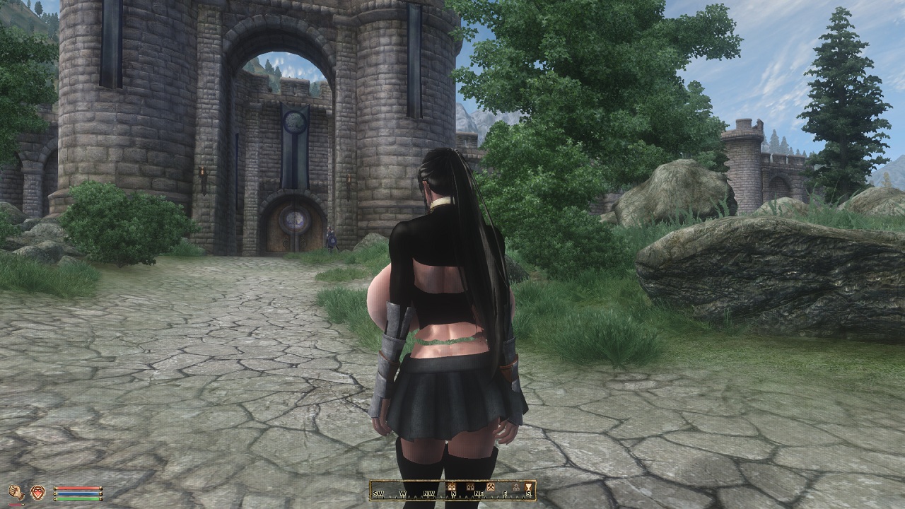 Need Help with HFOB and DMRA body - Oblivion Adult Mods - LoversLab