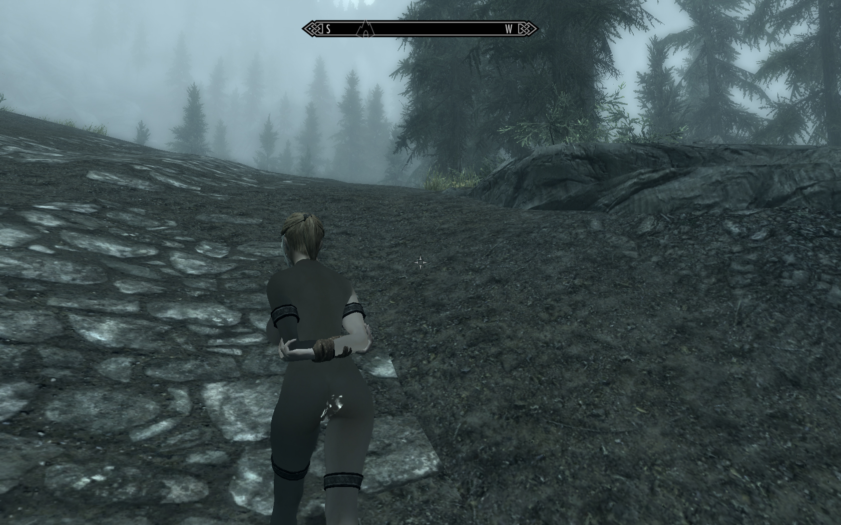 weird female body texture/mesh bug - Skyrim Technical Support - LoversLab