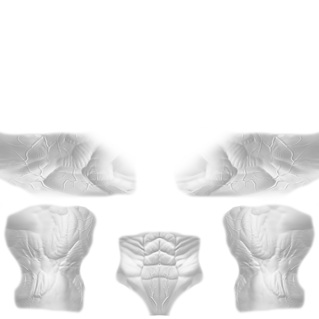 CBBE muscle maps - Fallout 4 Adult Mods - LoversLab
