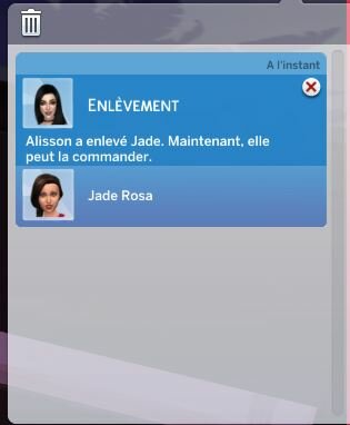 Sim Snatcher V2.3 Traduction française - Downloads - The Sims 4 - LoversLab