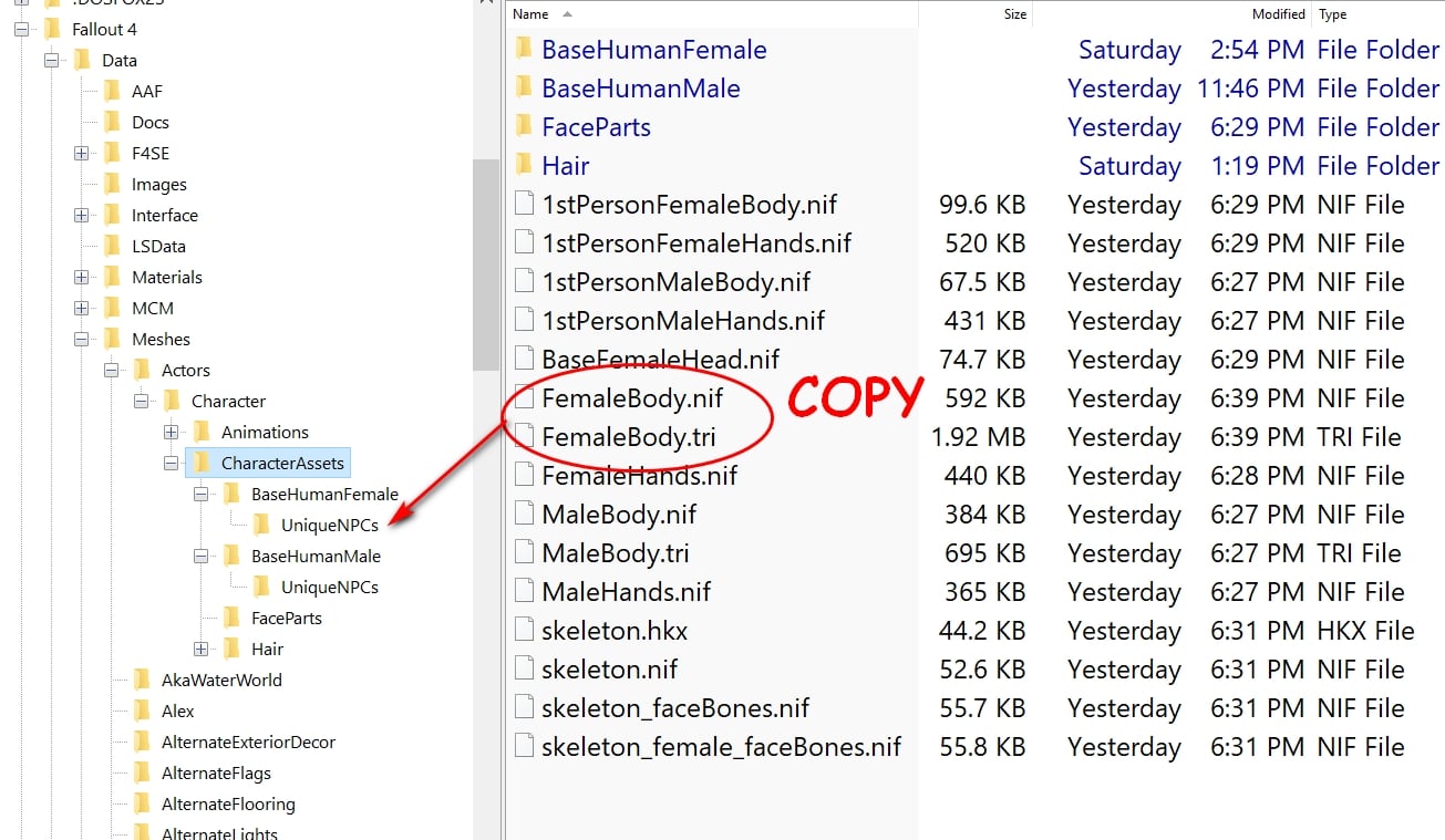 Using UniqueNPCs with BodyTalk, FusionGirl, AAF and OCBPC [updated 28.5 ...