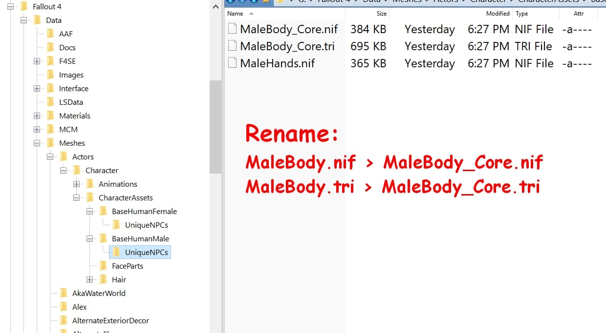 Using UniqueNPCs with BodyTalk, FusionGirl, AAF and OCBPC [updated 28.5 ...