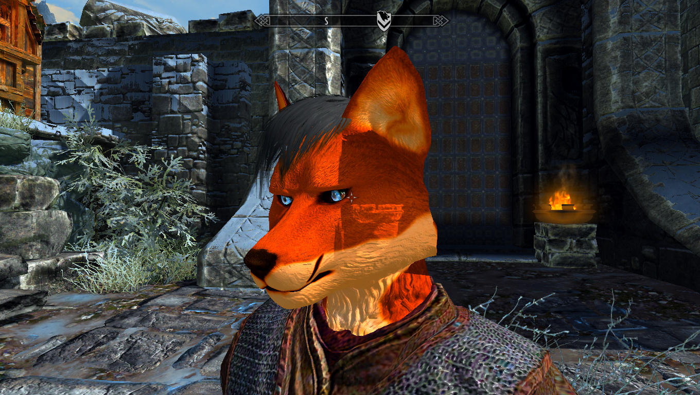 Fox Replacer for Lykaios Race (Now includes Raccoons) - Page 4 ...