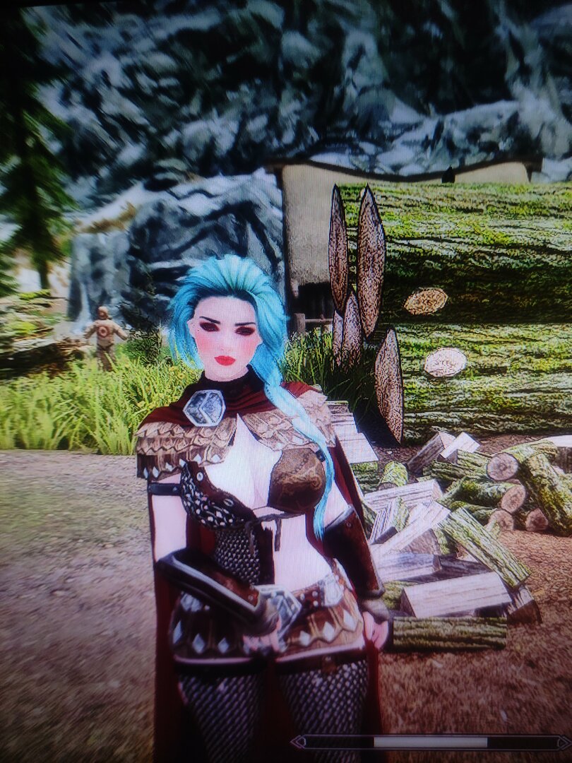 Help with mods - Skyrim Technical Support - LoversLab