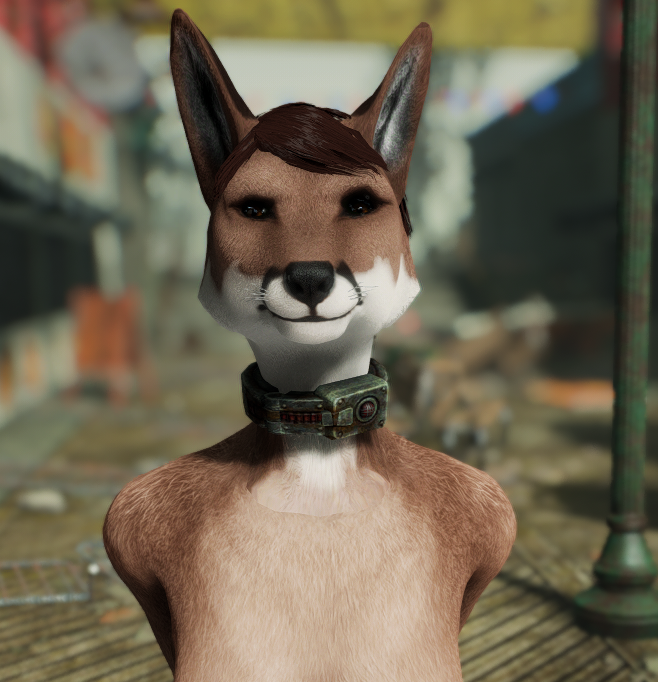 Furry Fallout 4 - Page 52 - Downloads - Fallout 4 Non Adult Mods ...