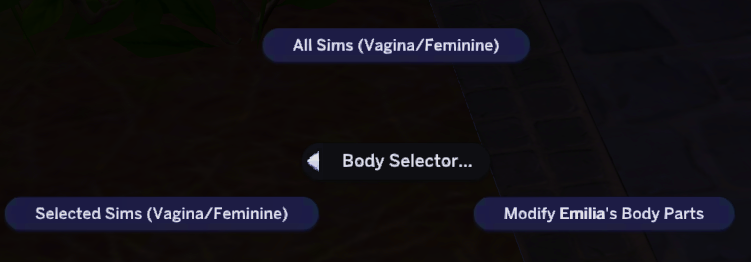Body Selector - Random Sims Option missing? - Technical Support - WickedWhims - LoversLab