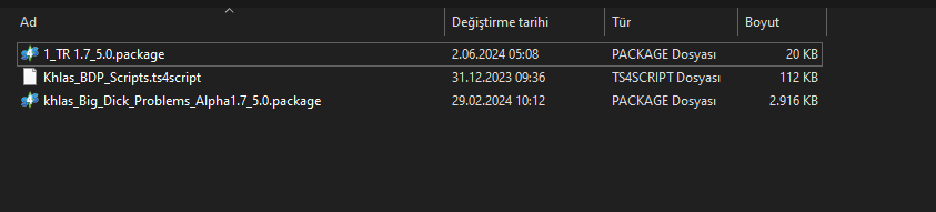 [BDP] Big Dick Problems Turkish Translation - Downloads - The Sims 4 ...