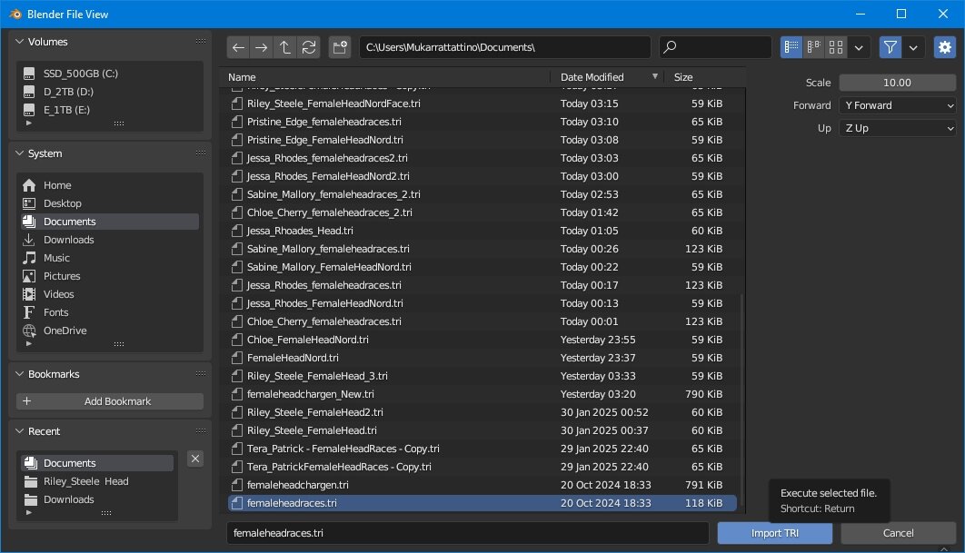 Problem(s) about importing faces into Creation Kit... - Technical ...