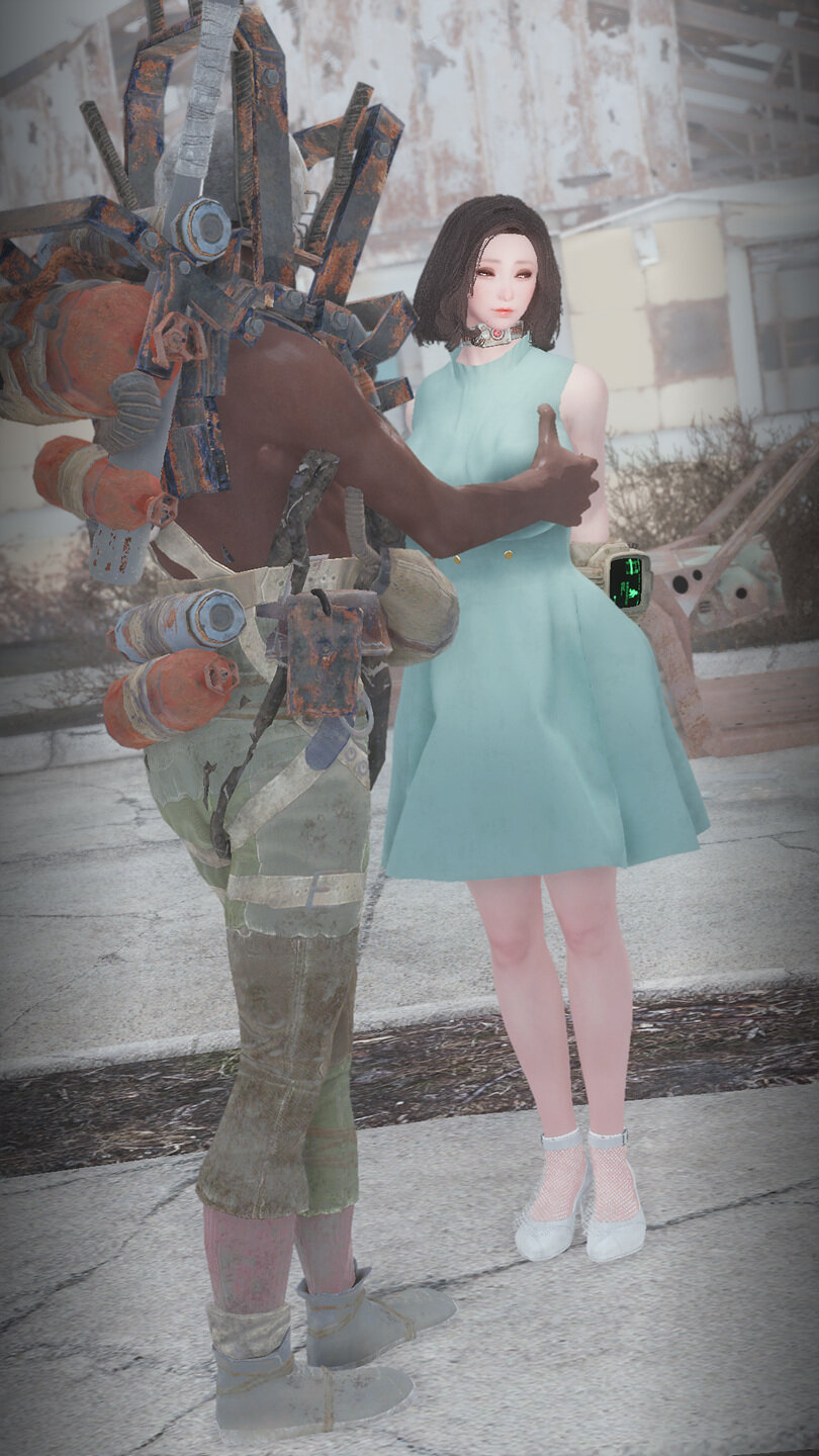 Some Skirts - Fallout in Skyrim - LoversLab