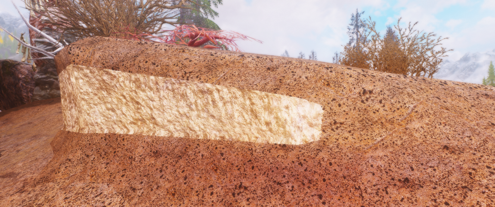 What landscape texture (.dds file) is this? - Skyrim Technical Support ...